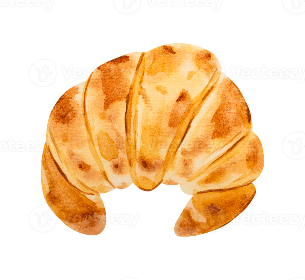 Croissant hand drawn watercolor 24286407 PNG Croissant hand drawn watercolor 24286407 PNG