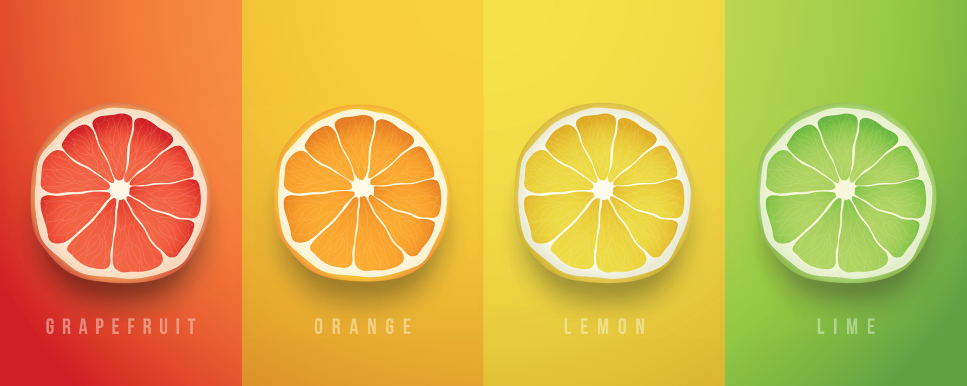 Grapefruit, orange, lemon and lime fresh fruits. 3d vector realistic set. 24302495 Vector Art at ...