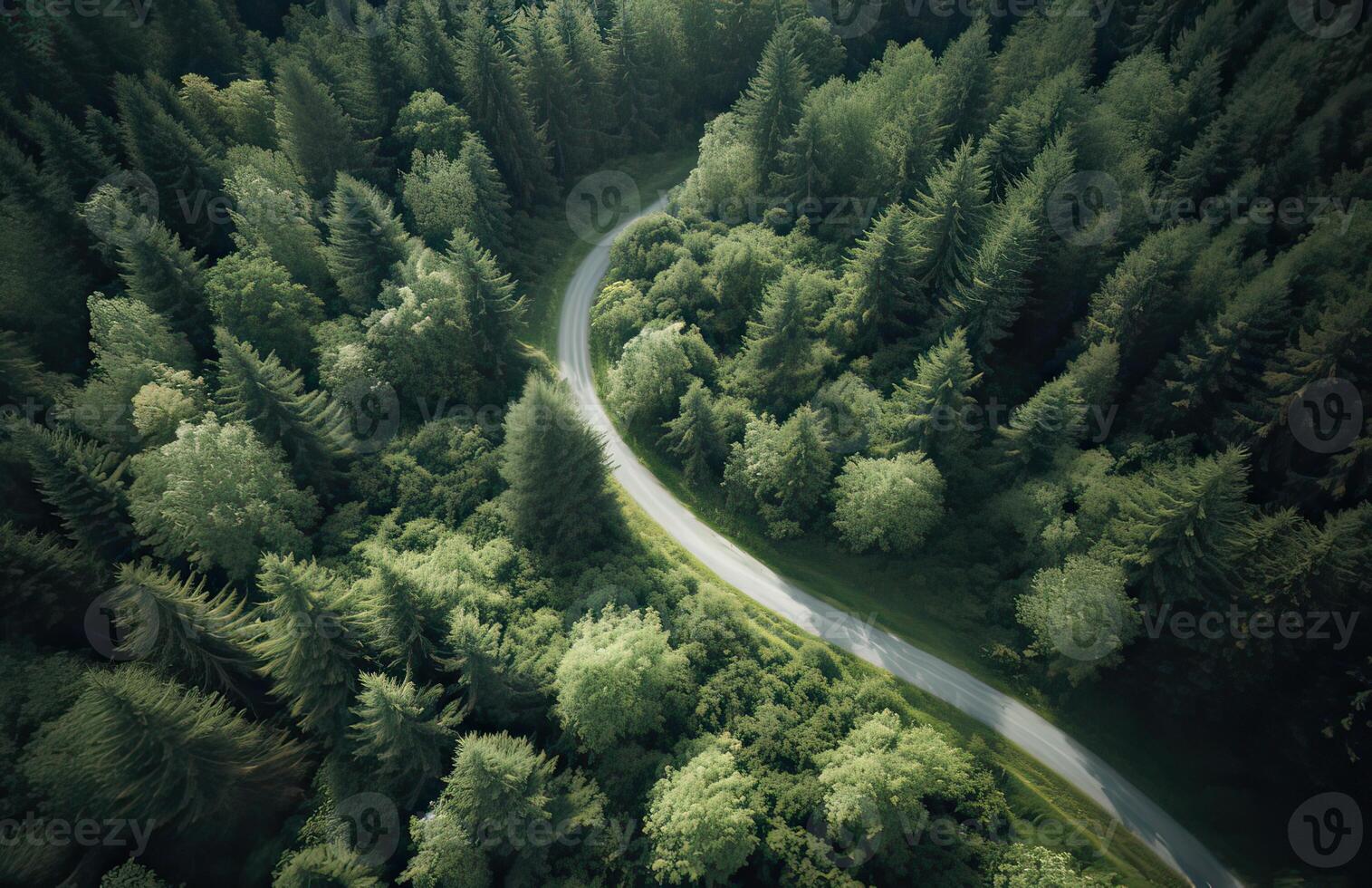Top view of green forest landscape wallpaper art. Aerial nature scene ...