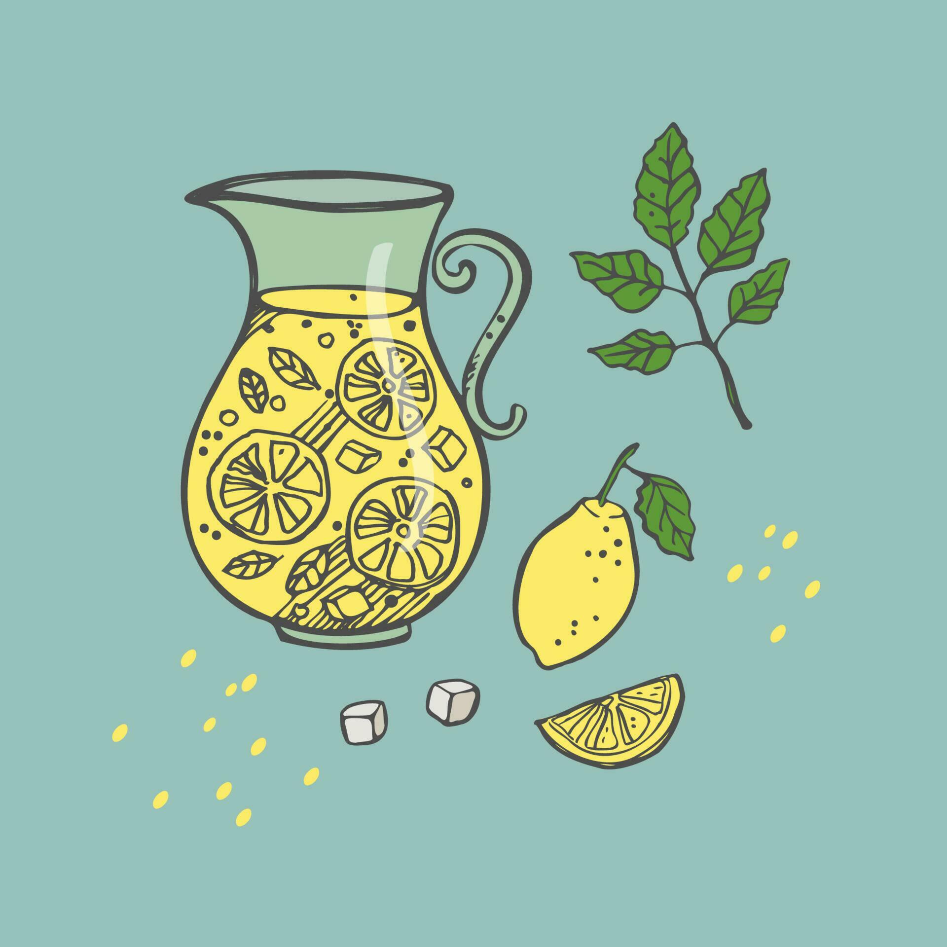 Lemonade. Doodle with lemon drink, whole and piece lemon, mint, ice. Hand drawn. Design element ...