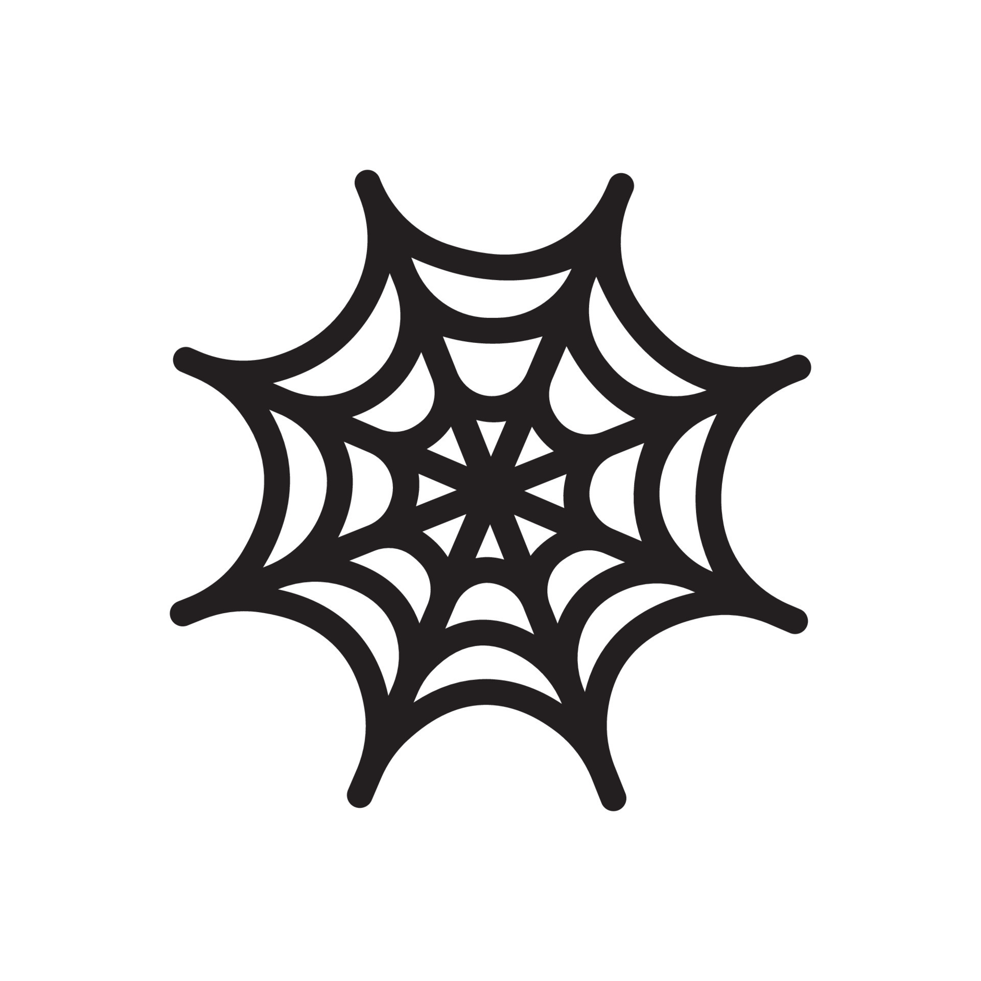 Spider webs vector 24394265 Vector Art at Vecteezy Spider webs vector 24394265 Vector Art at Vecteezy