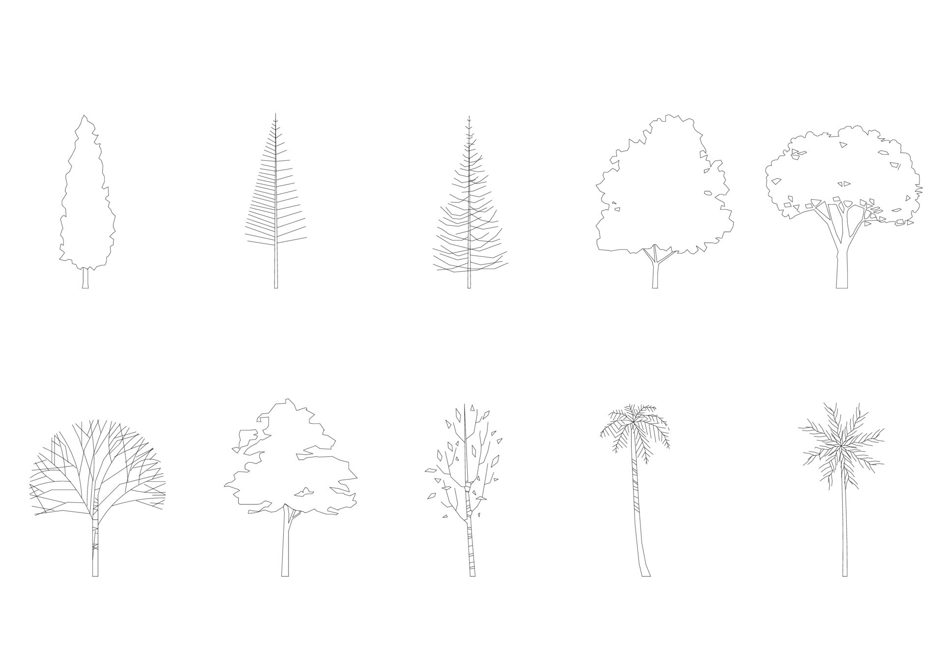 Tree Line Drawing Side View Graphics Trees Elements Single Object