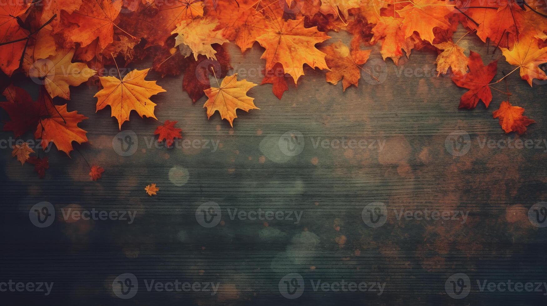 Fall Autumn Background Stock Photos, Images and Backgrounds for Free ...