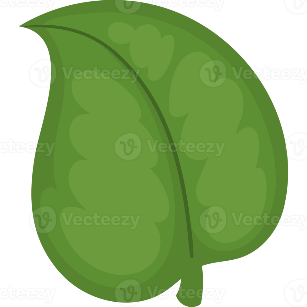 Leaf Ecological Sustainability Icon Isolated 24468090 Png