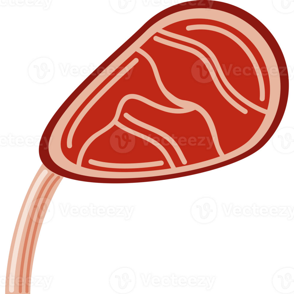 bbq steak icon 24468238 PNG bbq steak icon 24468238 PNG