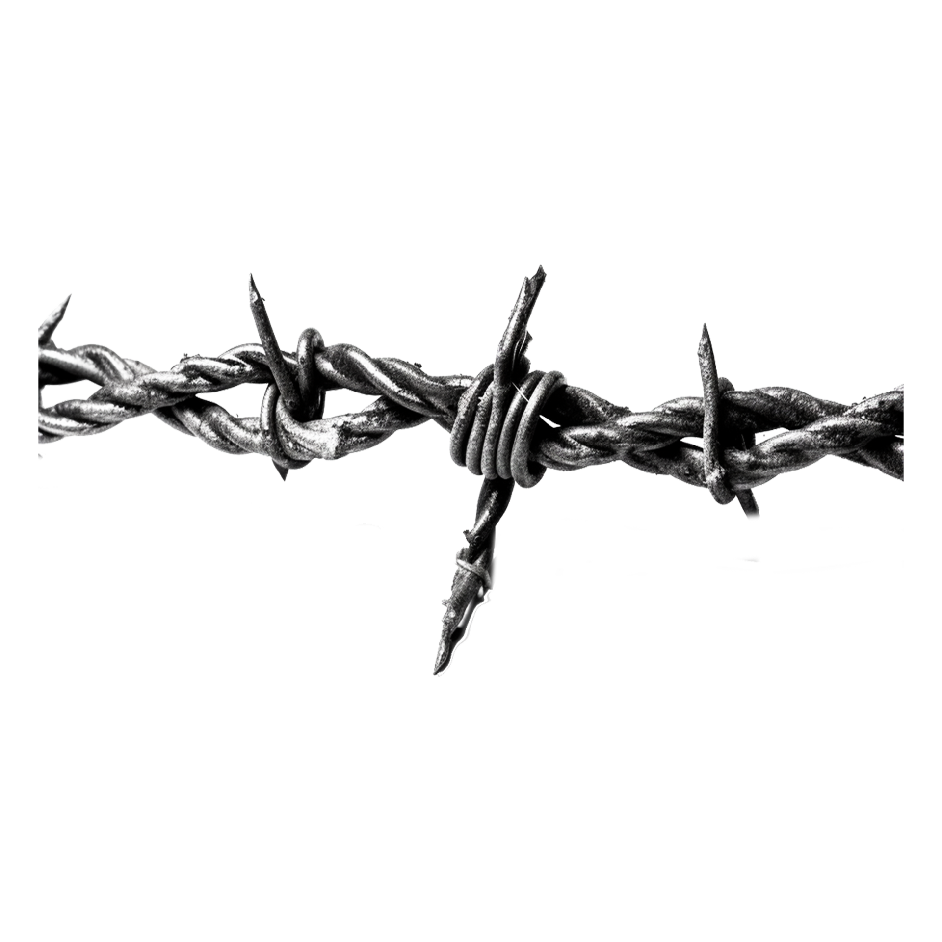 Barbed Wire Ai Generative 24491038 Png