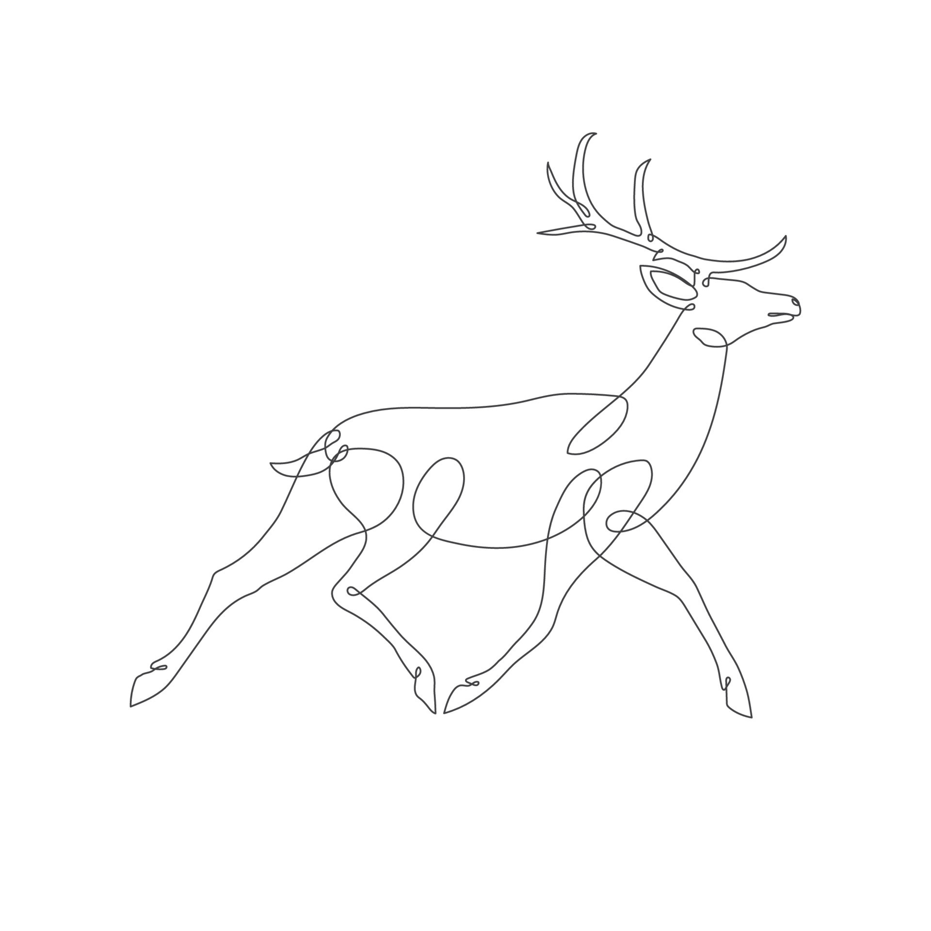 Deer Line Art Icon Deer Continuous Line Drawing Deer One Line Draw Graphic Vector Vector