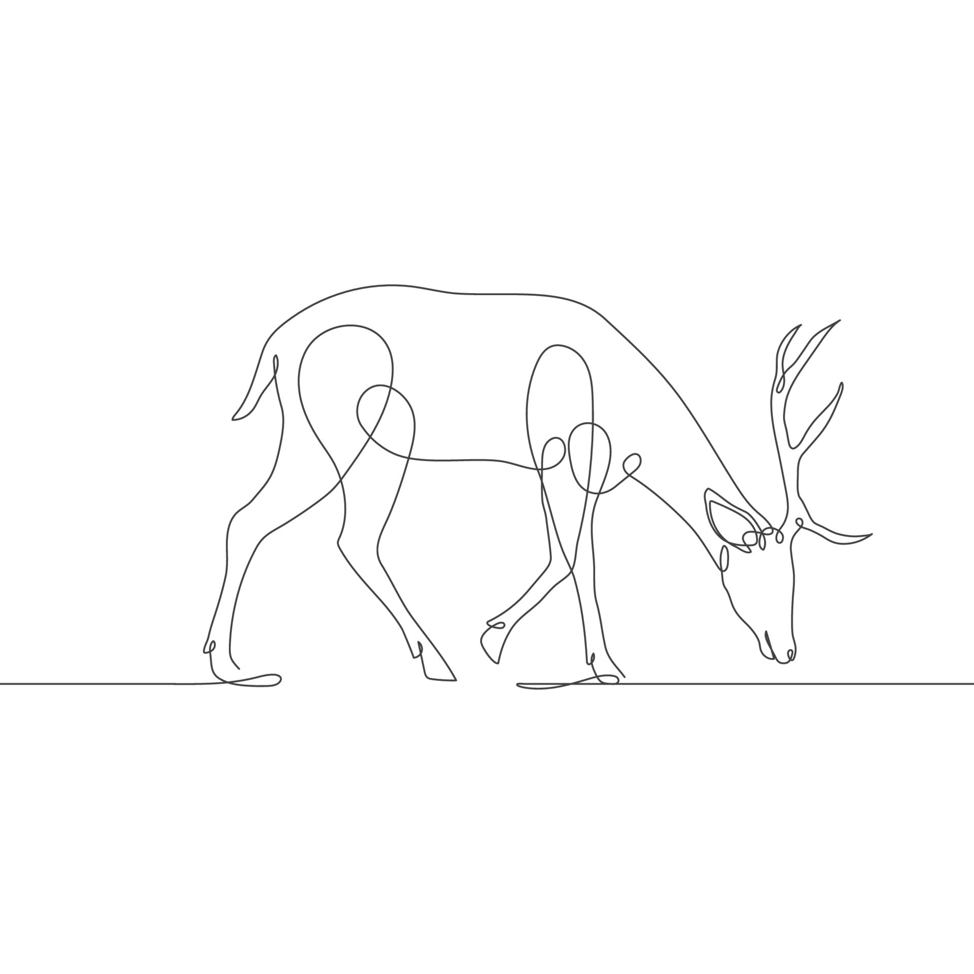 Deer Line Art Icon Deer Continuous Line Drawing Deer One Line Draw