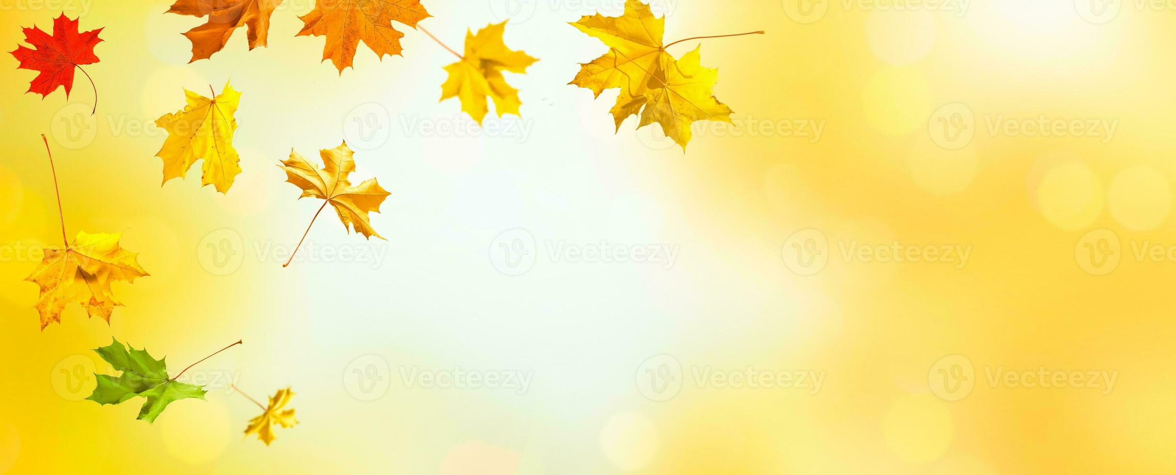 autumn fall flat lay, top view creative pattern arrangement. 24494759 ...