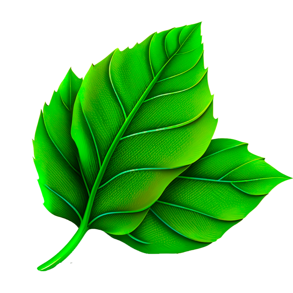 Round Leaf Png Ai Generative 24500989 Png