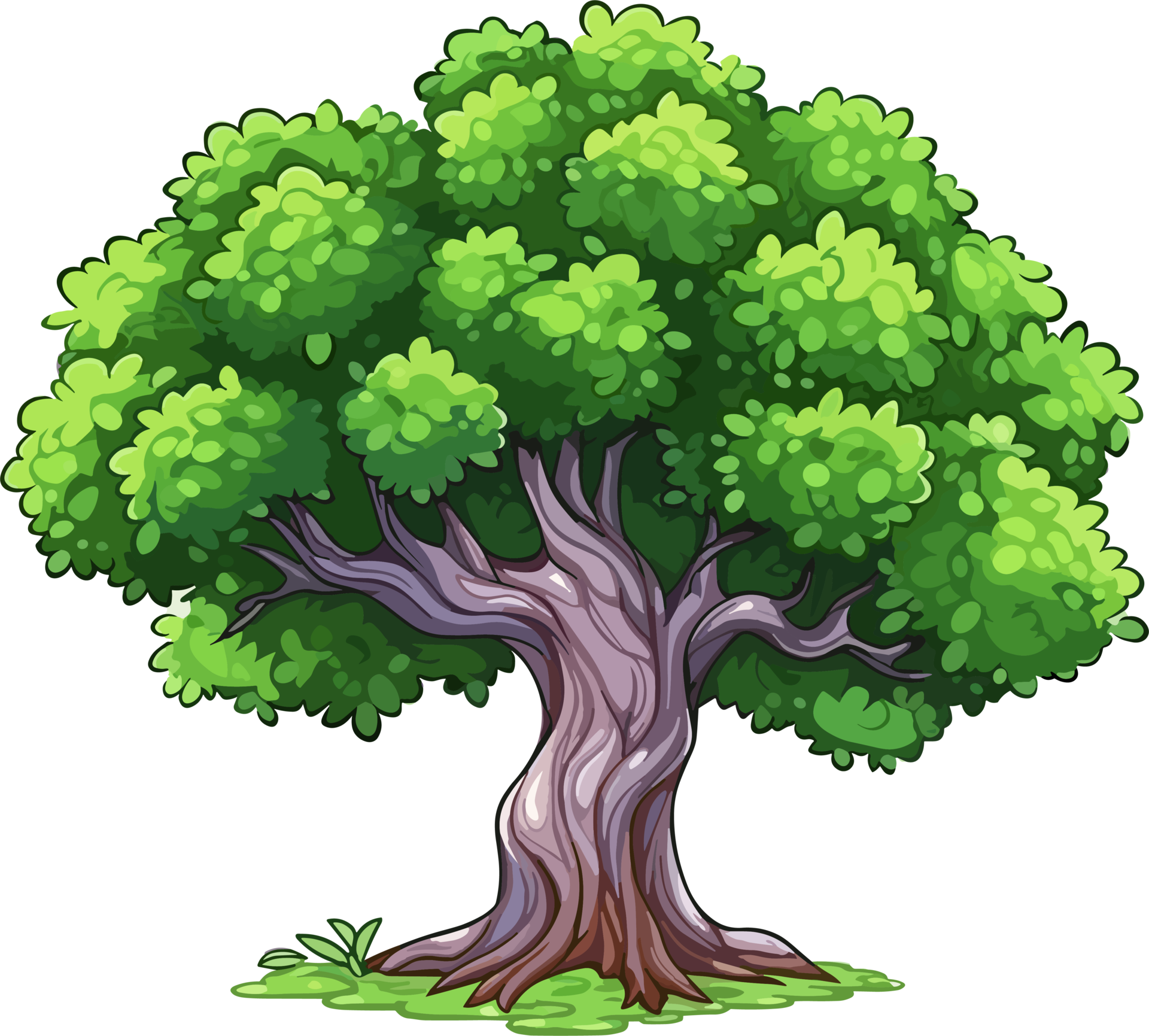 Elm tree transparent background 24521109 PNG Elm tree transparent background 24521109 PNG