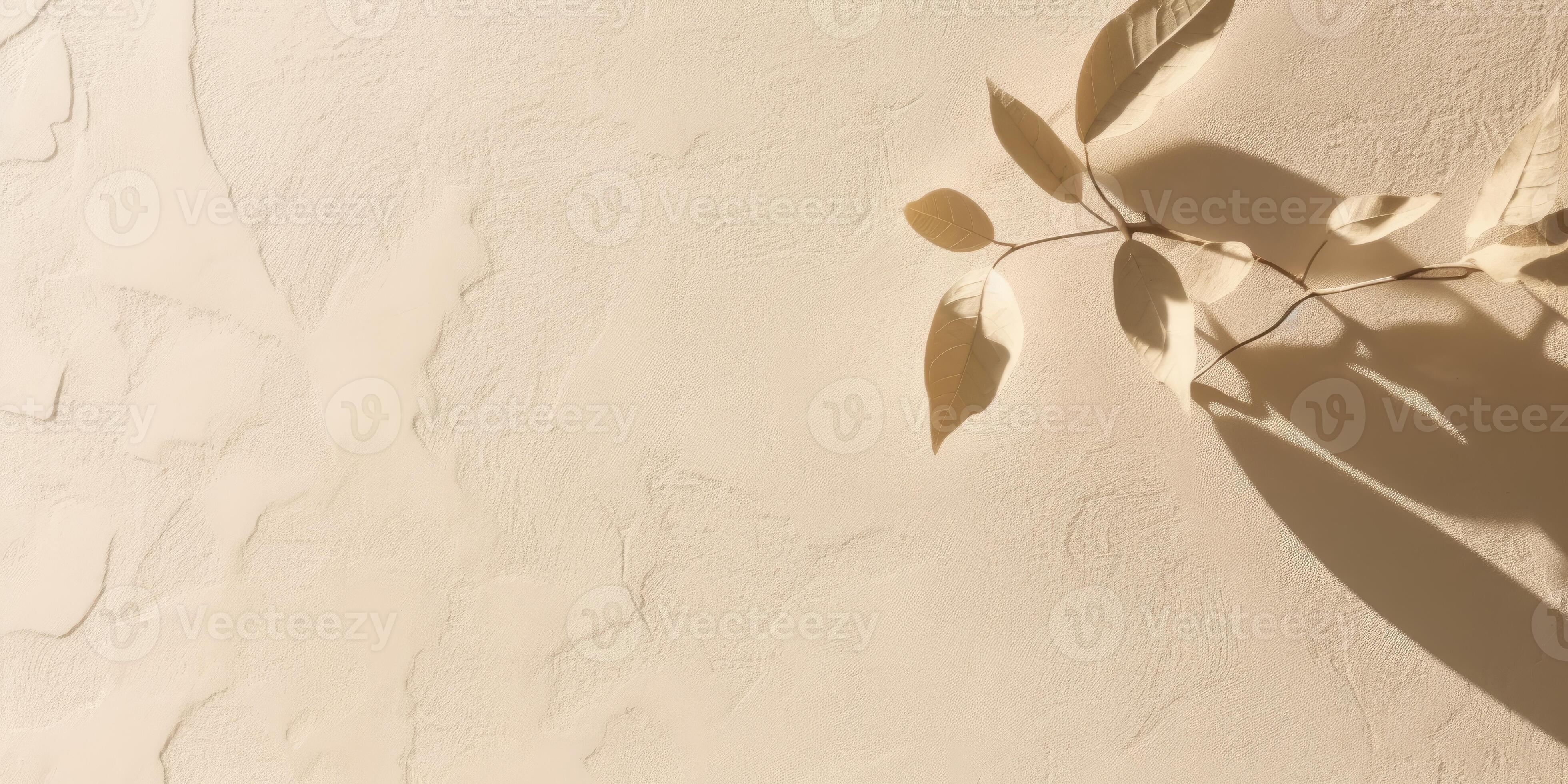Minimal abstract concrete texture background, neutral colored ...