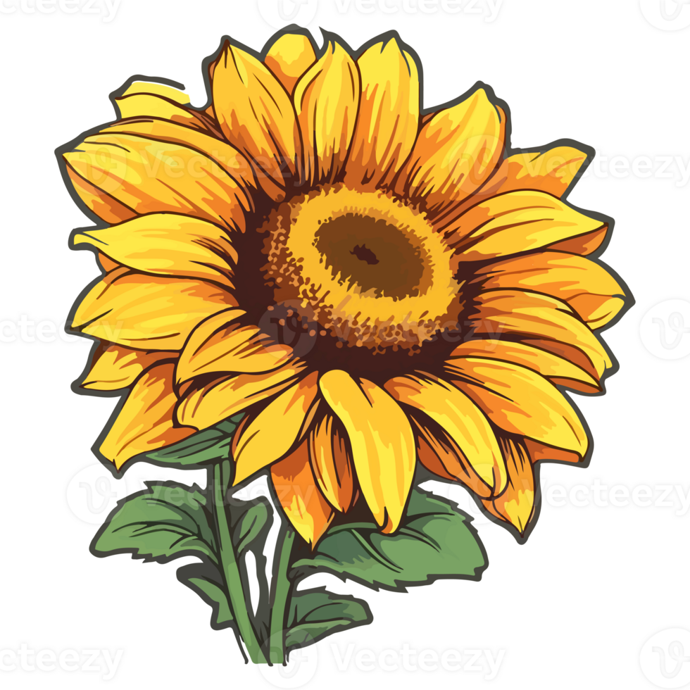 Sunflower Modern Pop Art Style Sunflower Illustration Simple Creative Design 24553539 Png