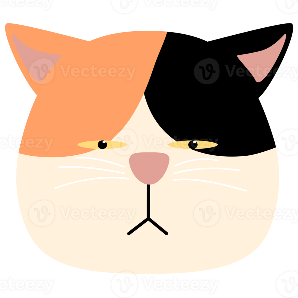 Funny Face Cat Head Arrogant Black And Orange 24554218 Png
