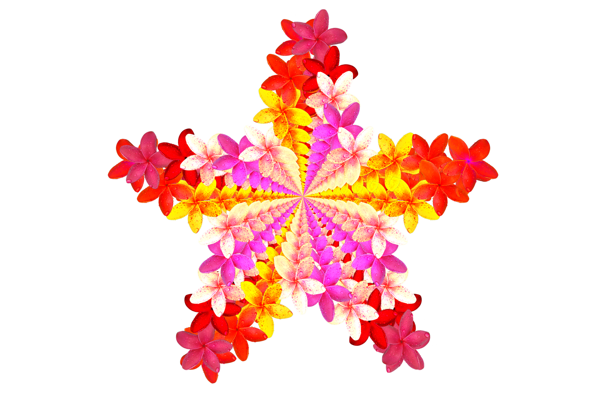 design-shape-star-form-from-flower-24560024-png
