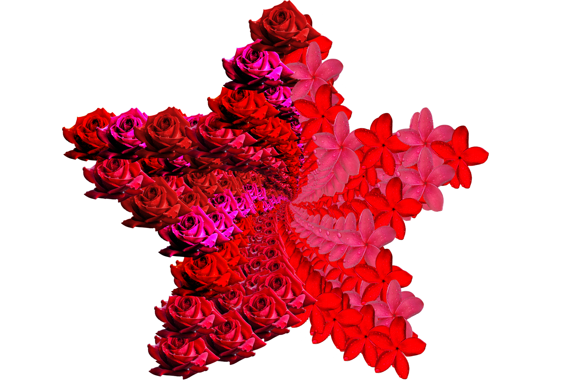 Design Shape Star Form From Flower 24560366 PNG