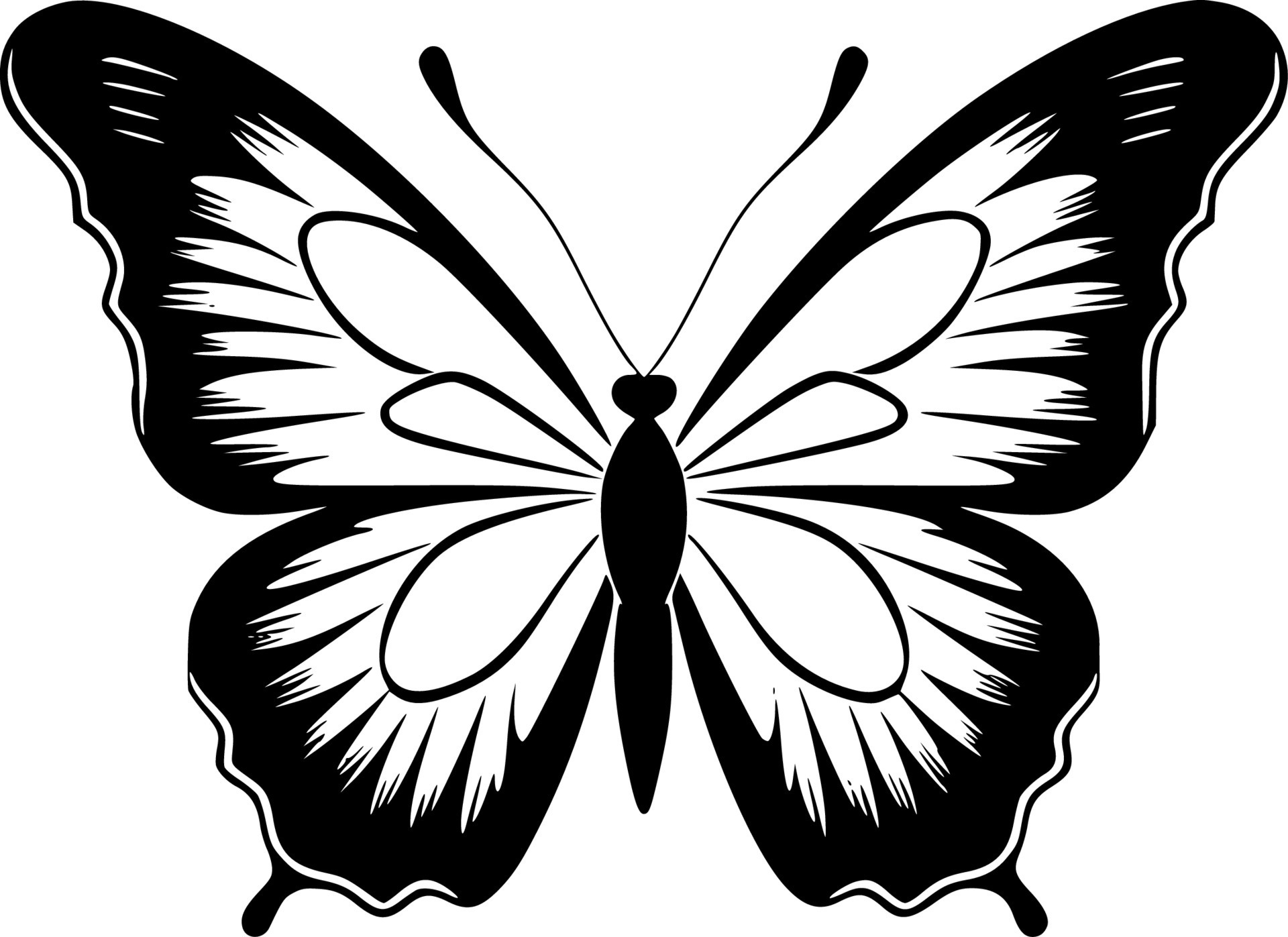 mariposas, negro y blanco vector ilustración 24566562 Vector en Vecteezy mariposas, negro y blanco vector ilustración 24566562 Vector en Vecteezy