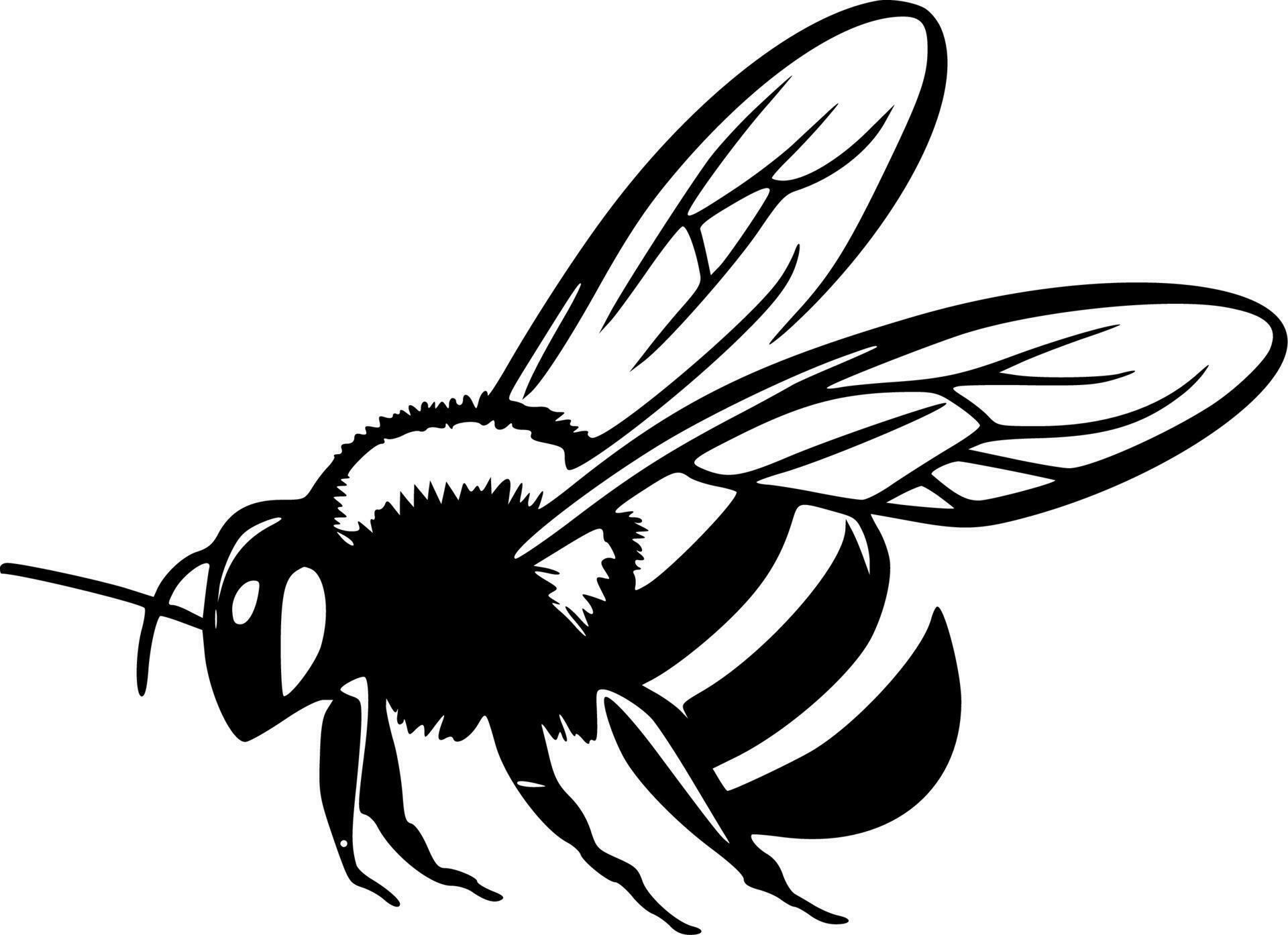 Bee, Black and White Vector illustration 24569190 Vector Art at Vecteezy