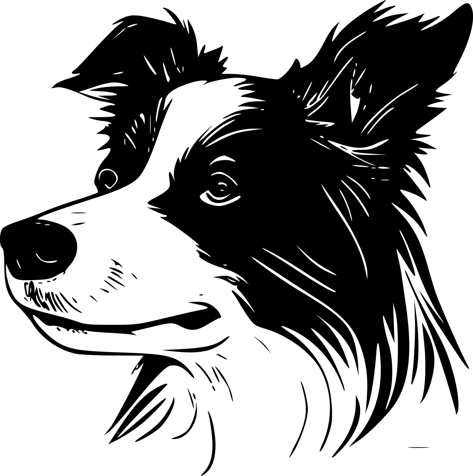 Border Collie Black And White Vector Illustration 24571260 Vector Art