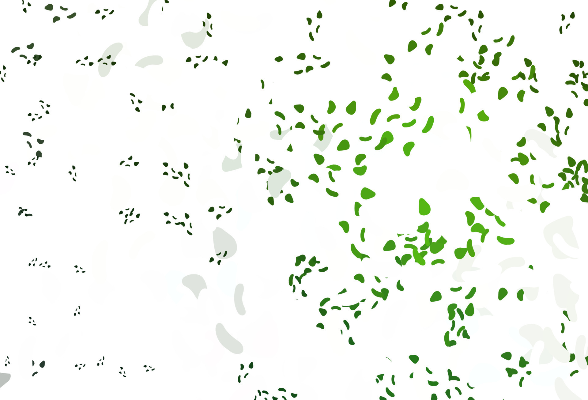 Light Green Vector Texture With Random Forms 24584182 Vector Art At Vecteezy