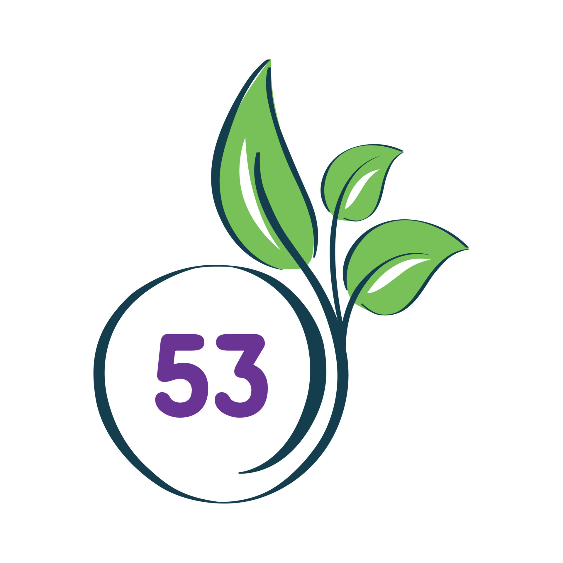 natural hoja diseño con número 53 24588817 Vector en Vecteezy