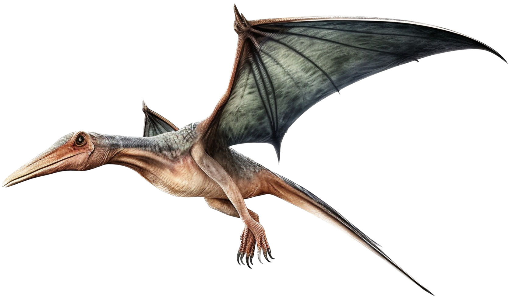 Jurassic Park Pteranodon Flying