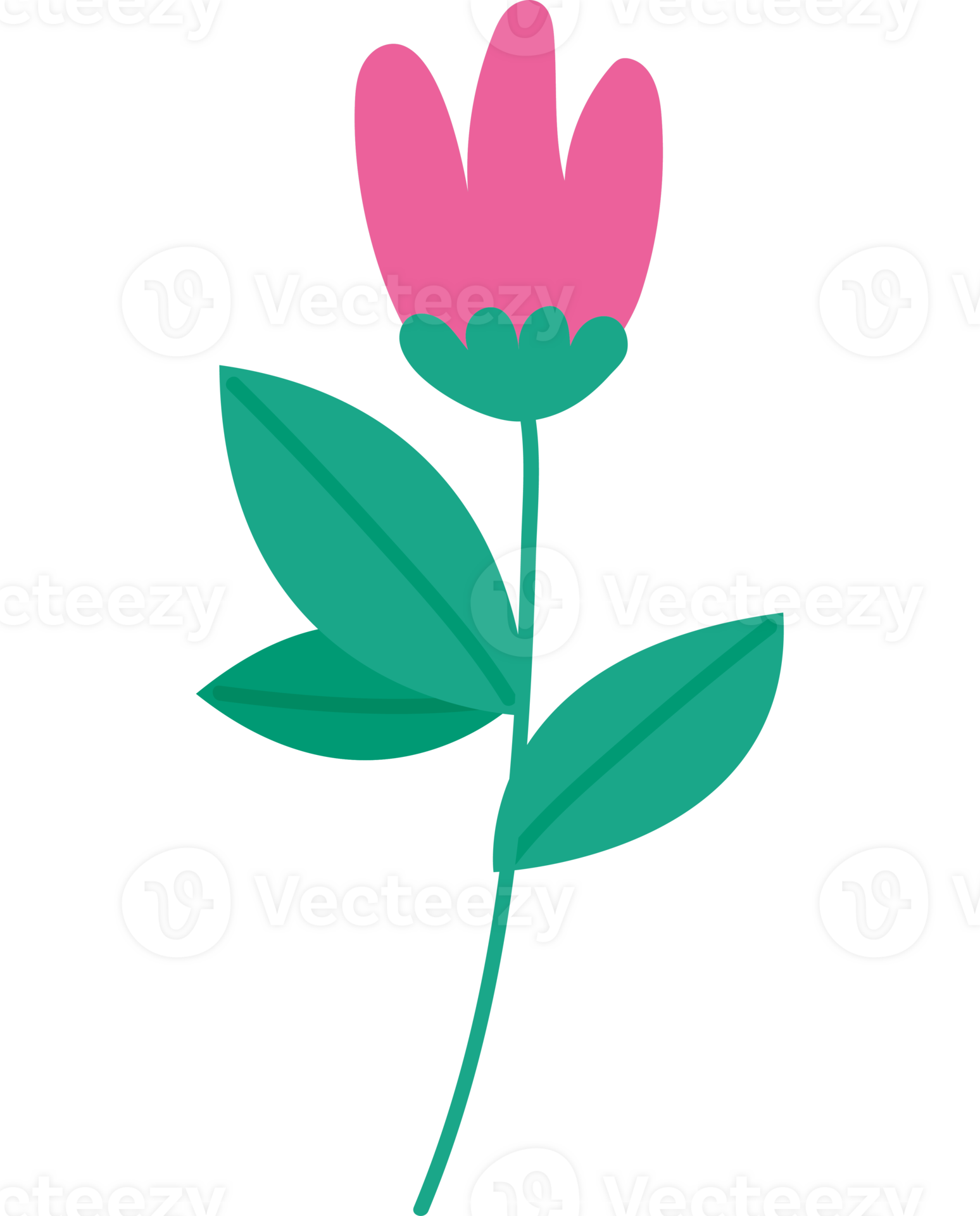 Cute Pink Flower 24599527 Png