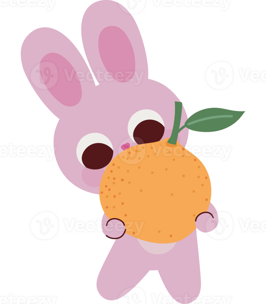 Pink Rabbit With An Orange 24599806 Png