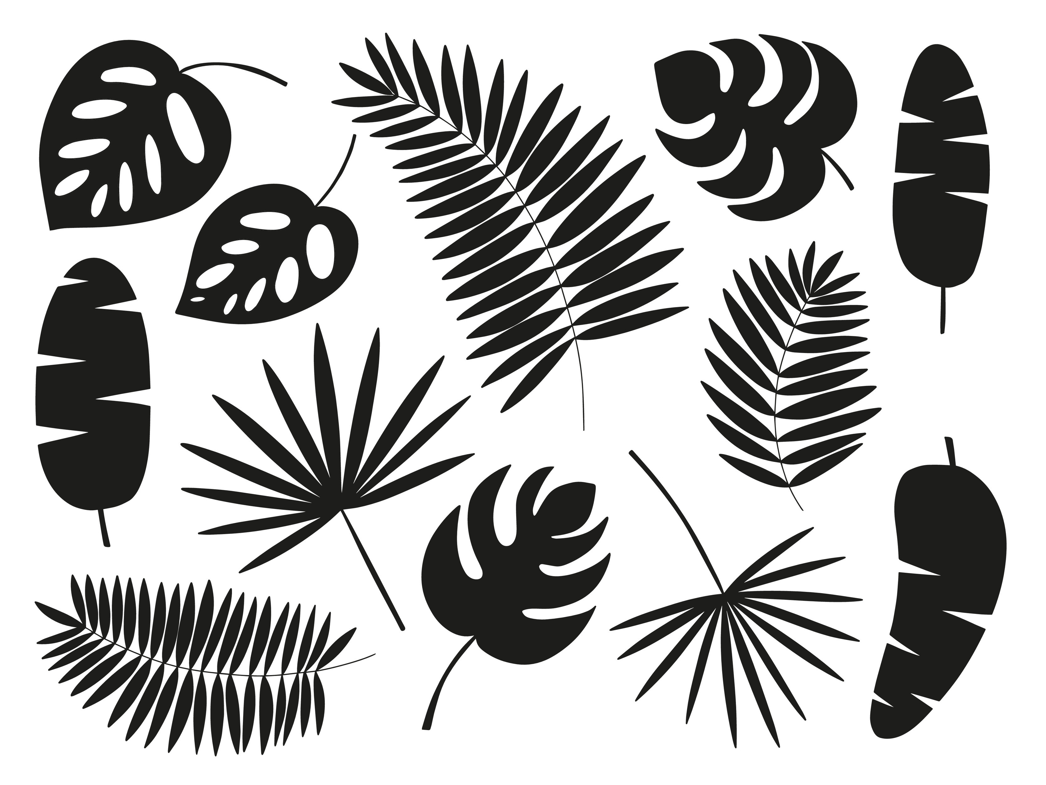 Different Kinds Of Exotic Tropical Leaves Set Vector Tropical Leaves