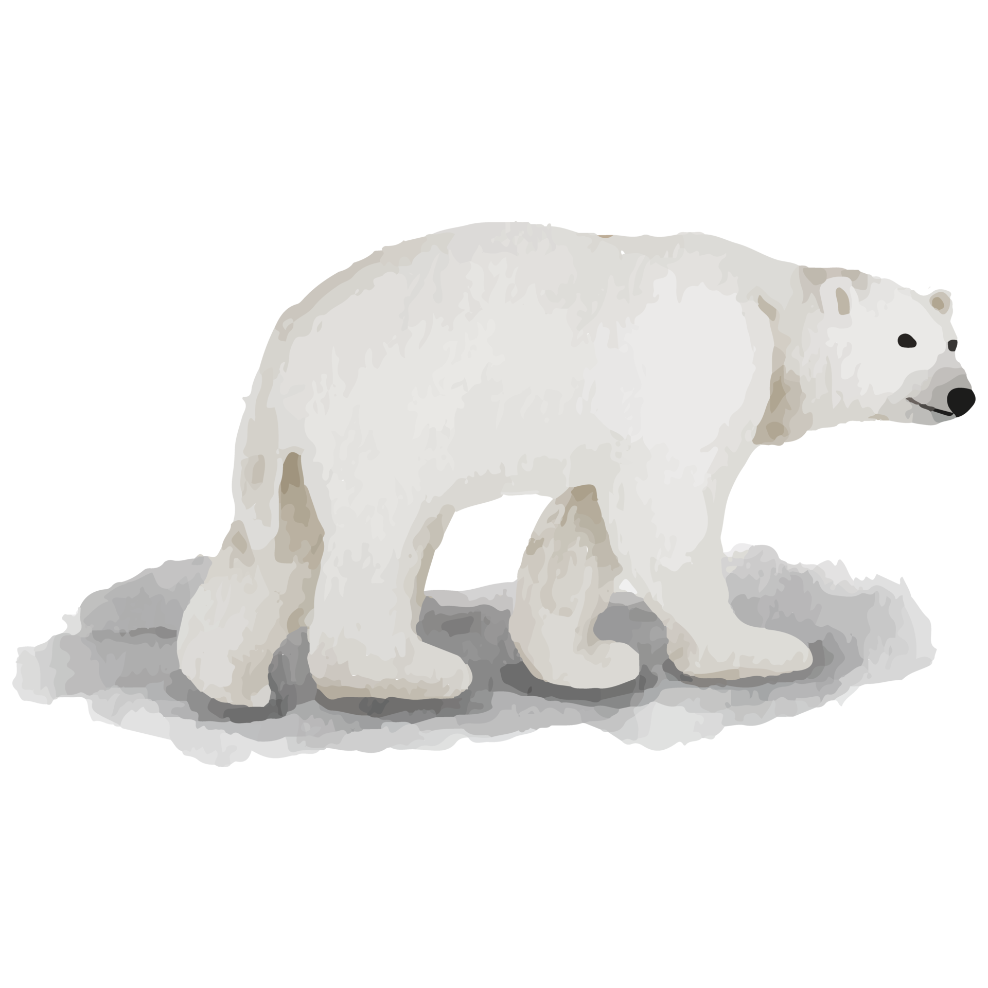 Winter Polar Bear Clip Art