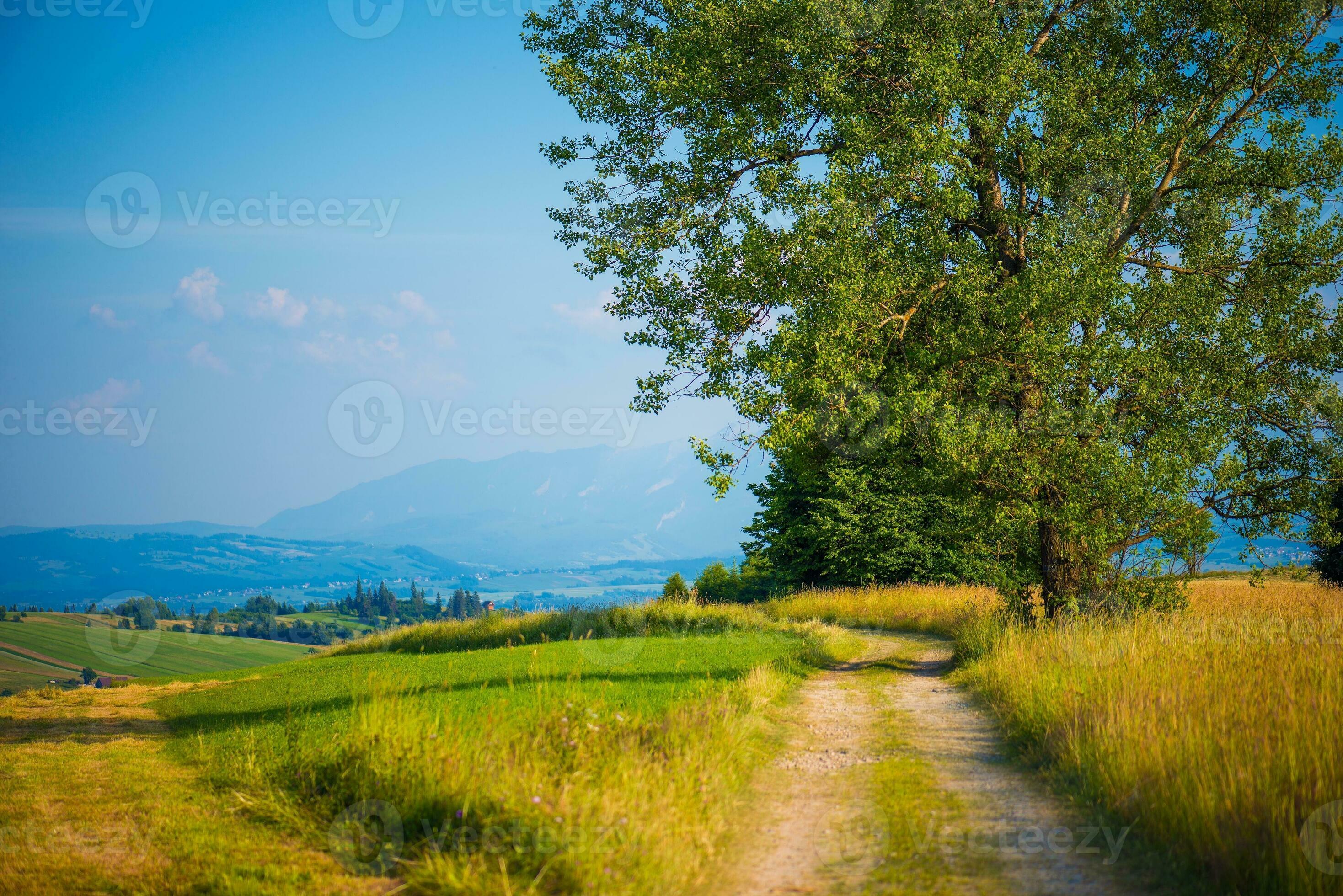 Polish Countryside Road 24627368 Stock Photo at Vecteezy