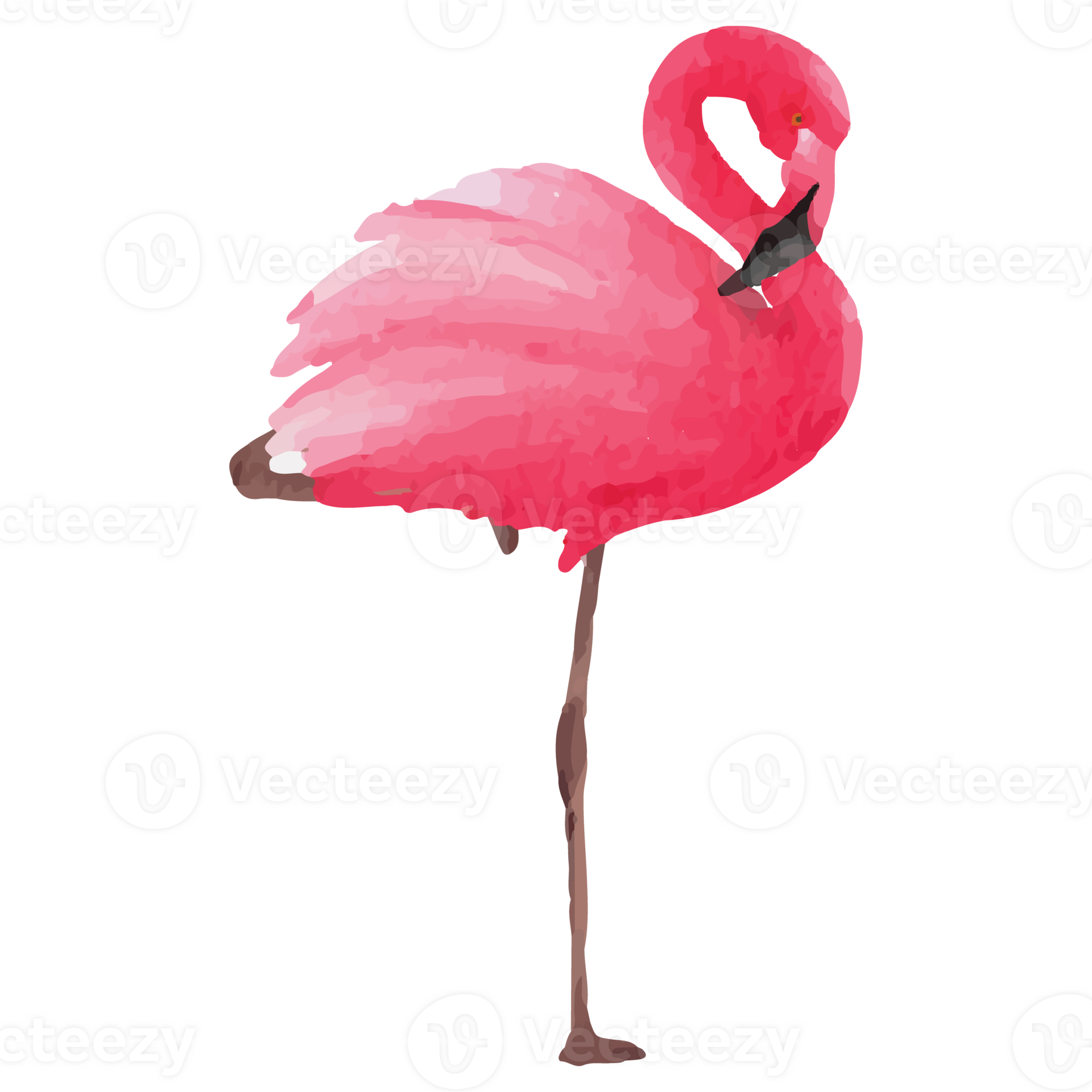 Pink flamingo Tropical Clip art Element Transparent Background 24628744 PNG