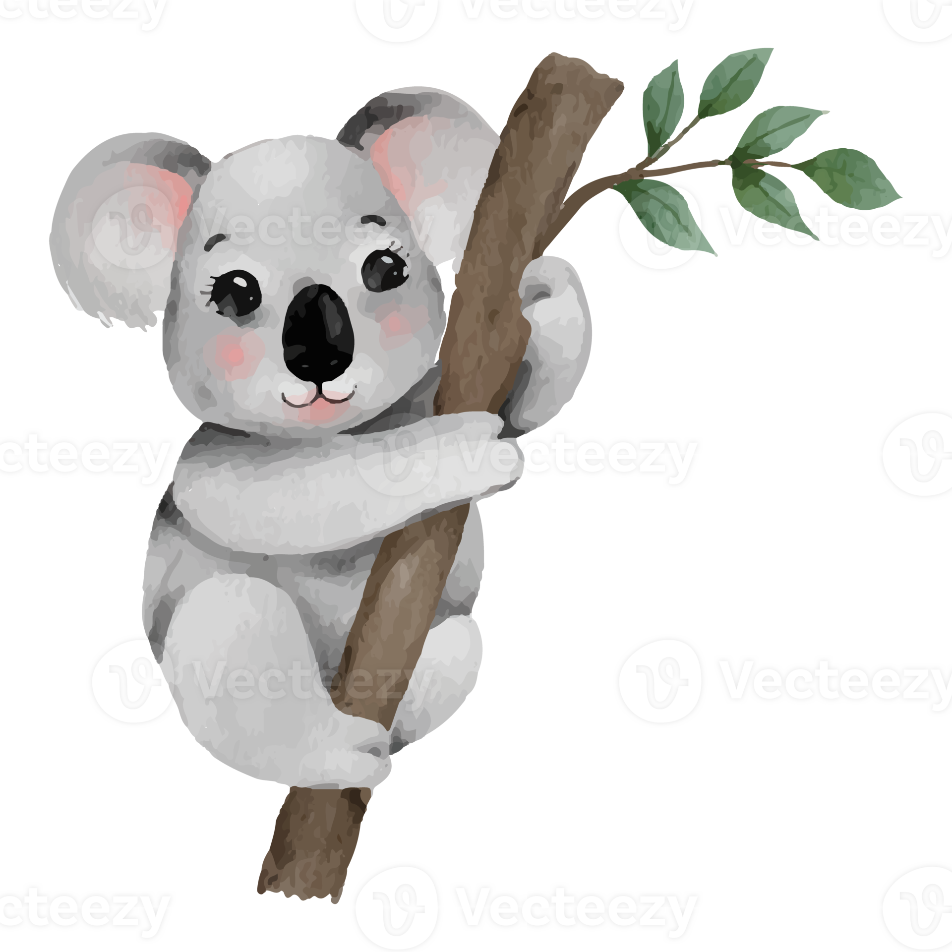 Cute Cartoon Koala Images at Rachel Stewart blog