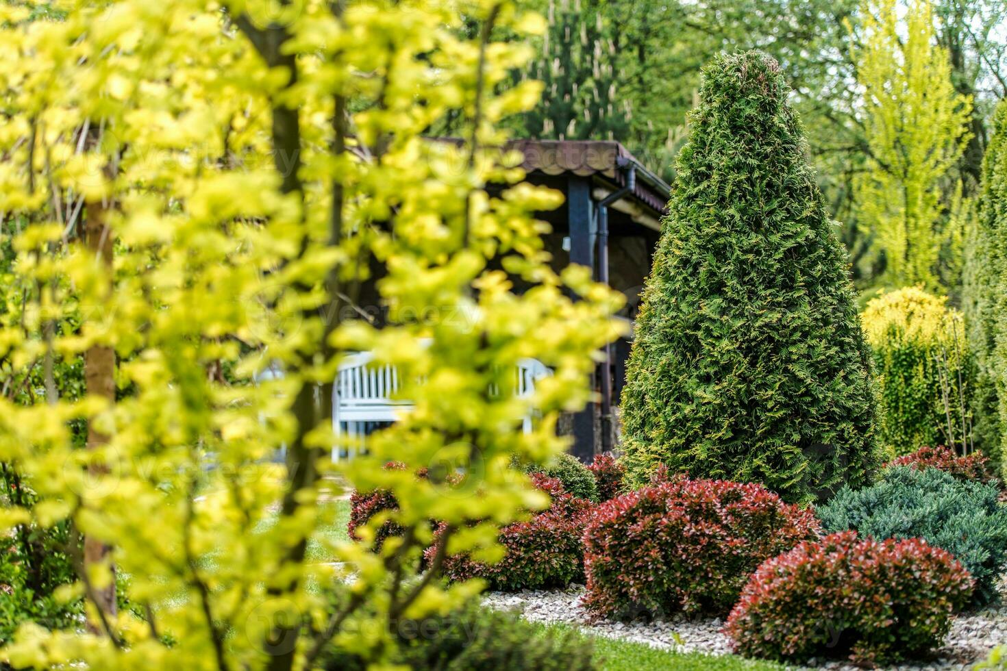 Backyard Garden Plants 24637373 Stock Photo at Vecteezy Backyard Garden Plants 24637373 Stock Photo at Vecteezy