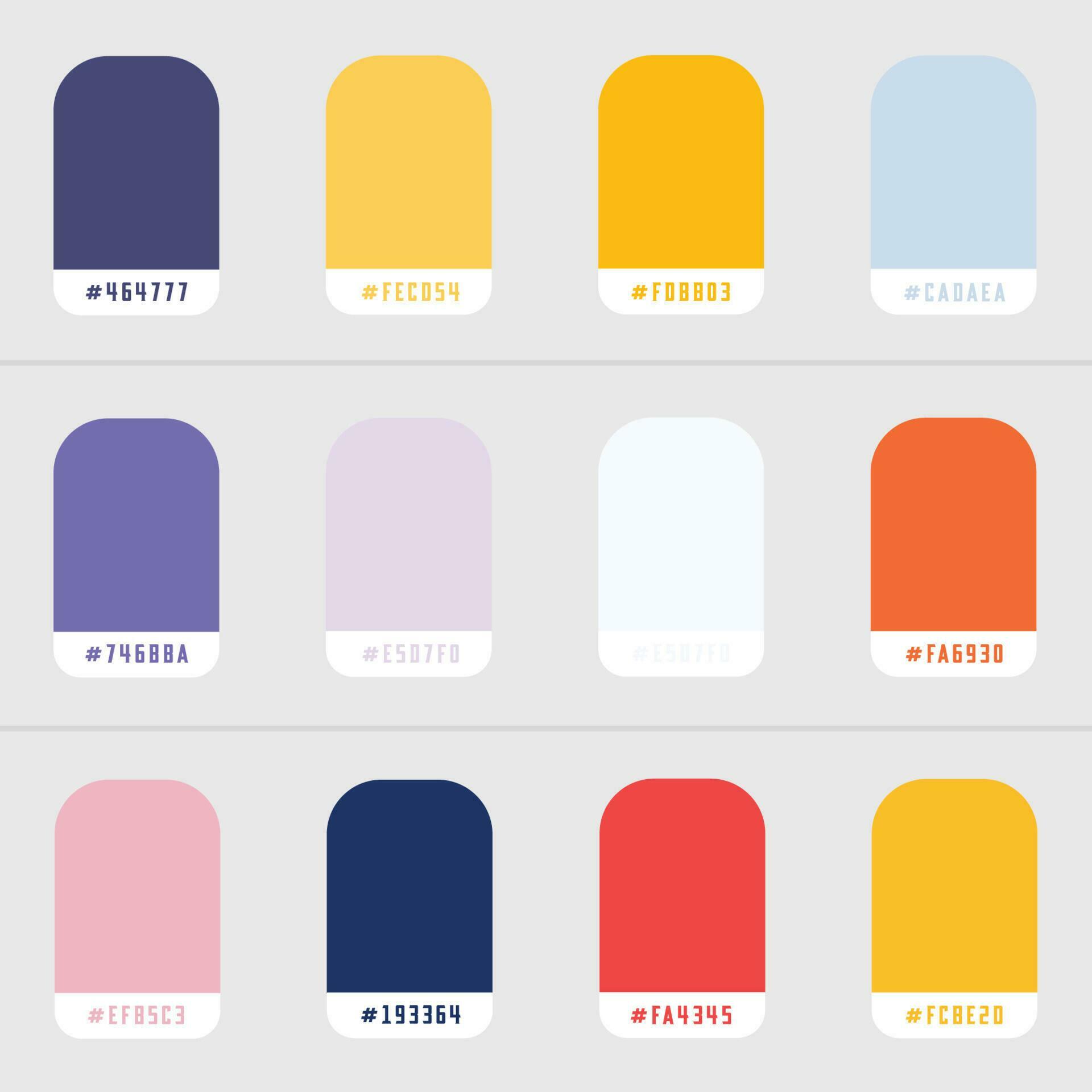 various color palette guide with code . 24642924 Vector Art at Vecteezy