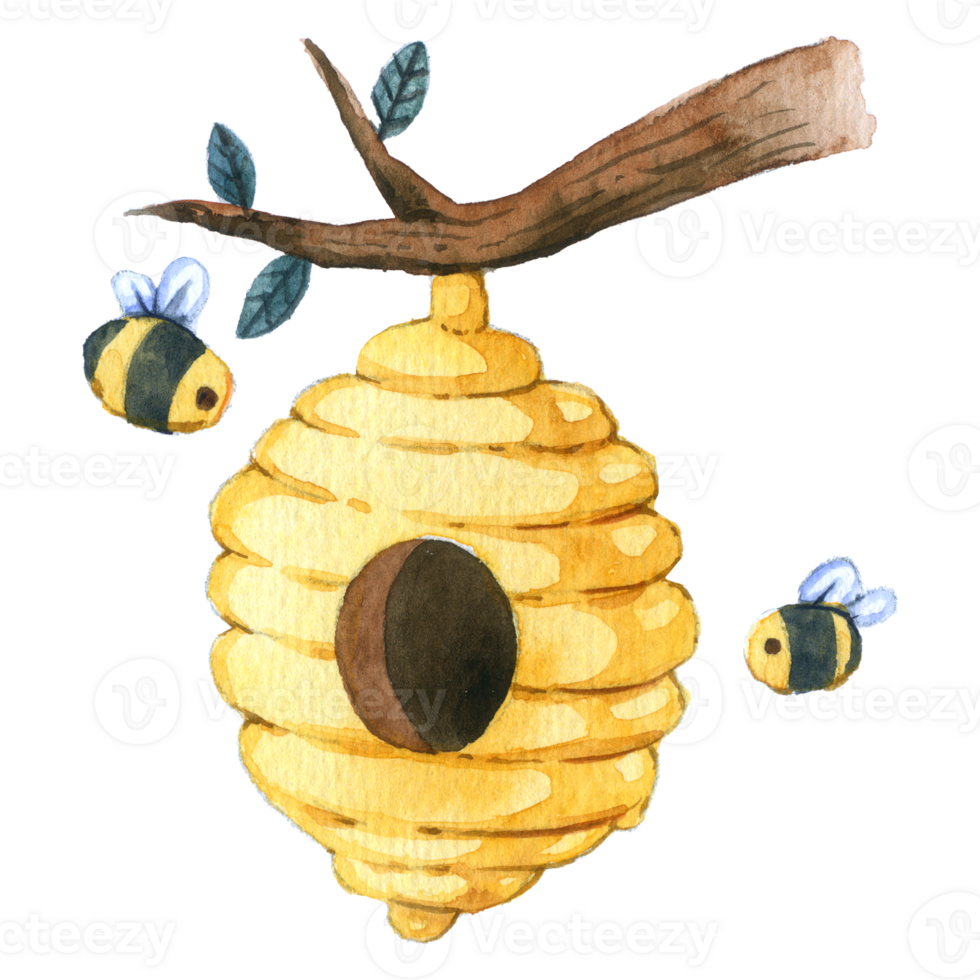Honey bee watercolor 24656273 PNG