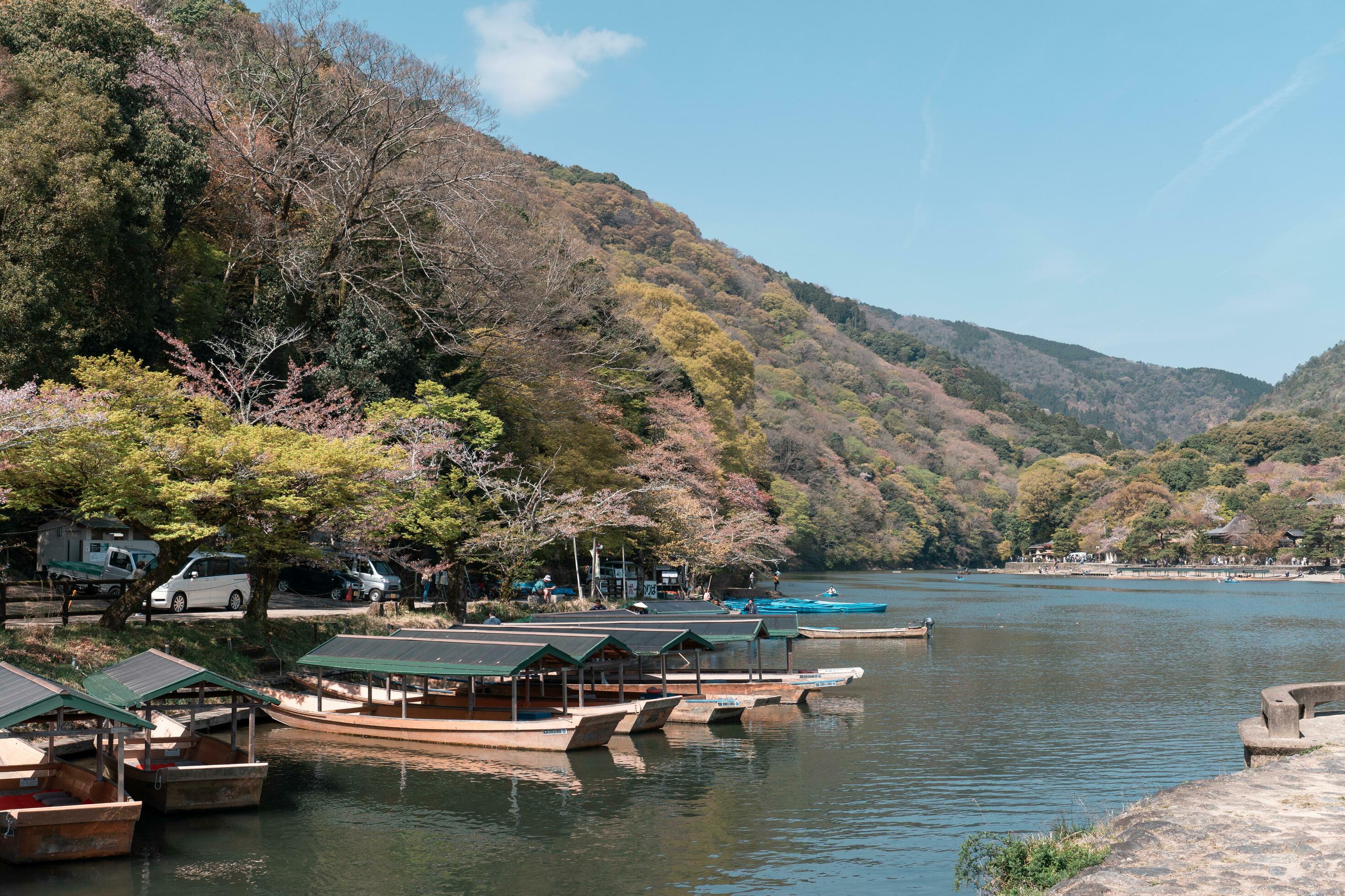KYOTO, JAPAN - April 4, 2023 Boats in Katsura River in Arashiyama district with cherry blossom ...