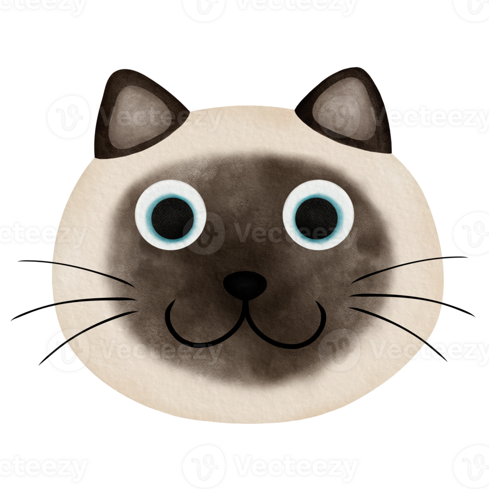 Siamese Cat Face Watercolor Illustration 24659348 PNG Siamese Cat Face Watercolor Illustration 24659348 PNG
