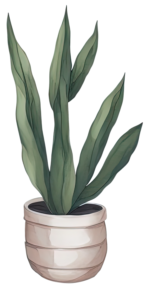 Watercolor House plant. 24679077 PNG