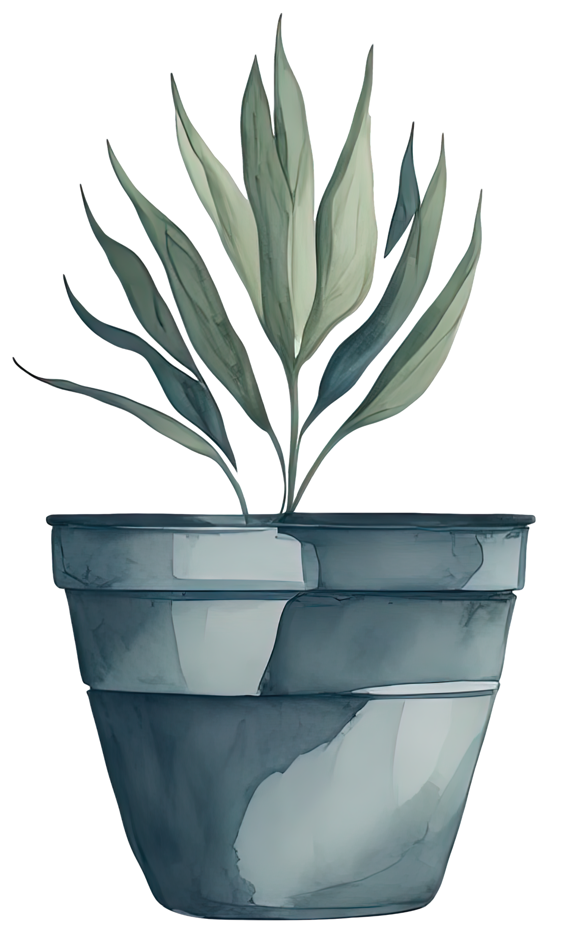 Watercolor House plant. 24679091 PNG