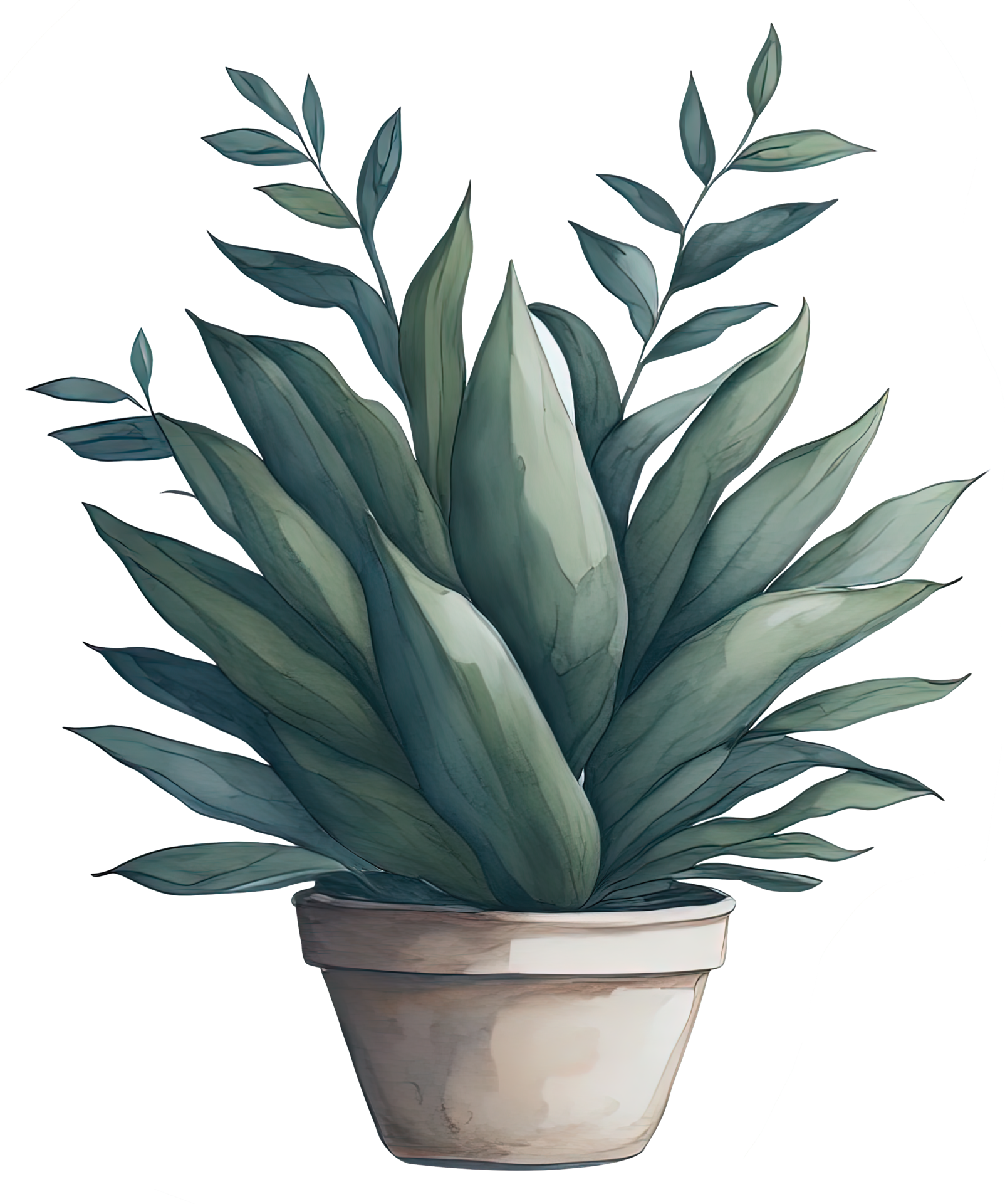 Watercolor House plant. 24679110 PNG