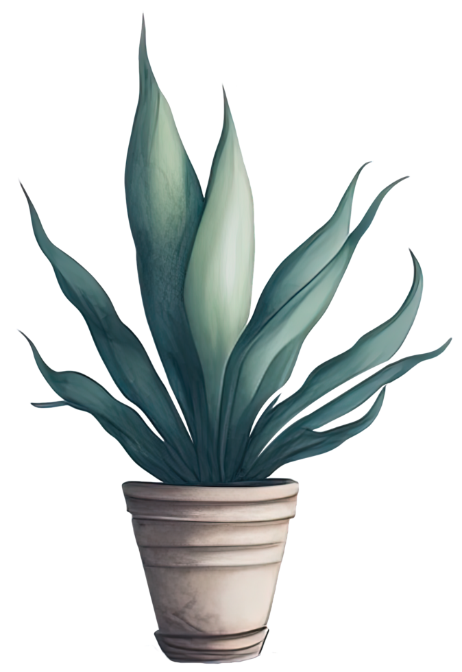 Watercolor House plant. 24679124 PNG