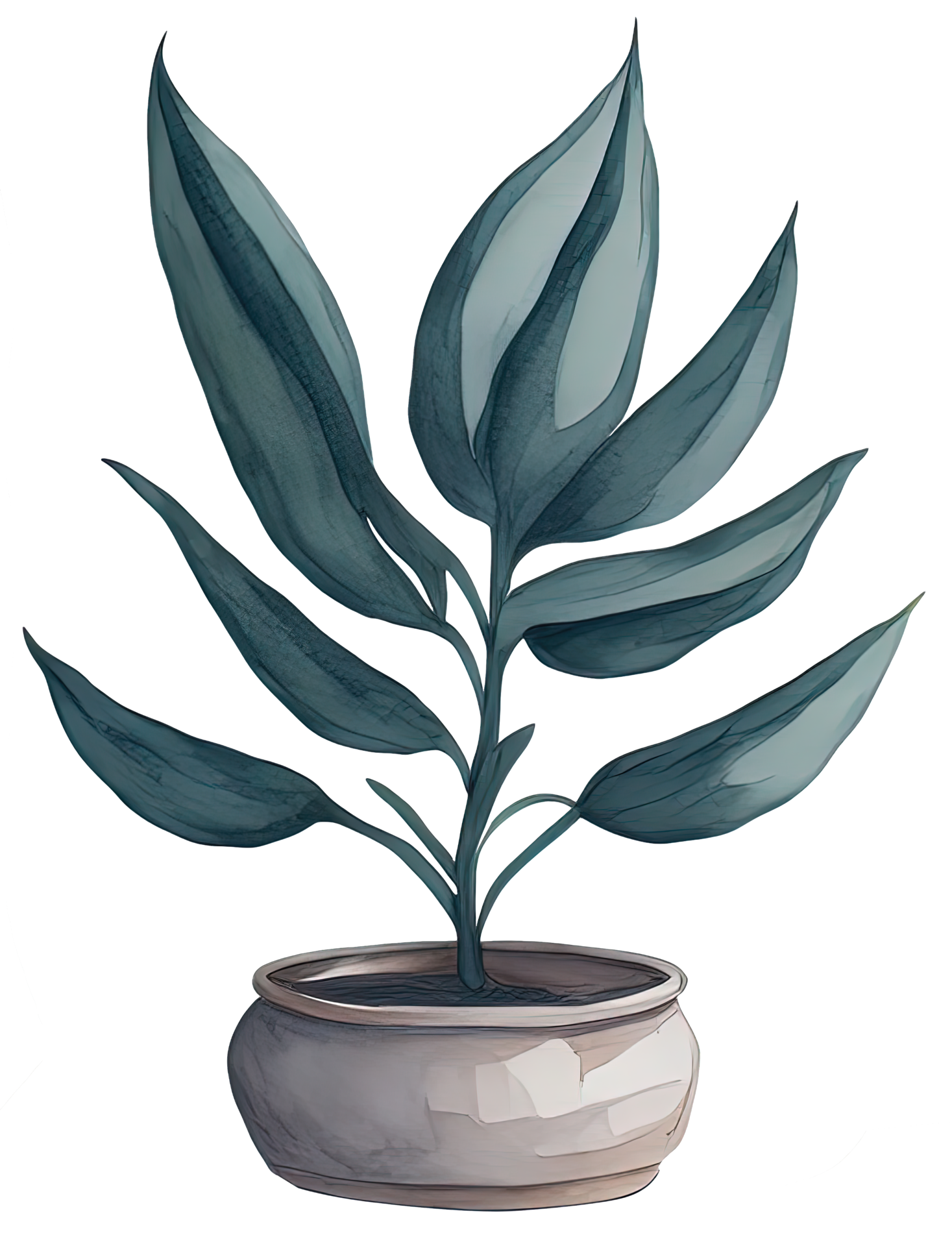 Watercolor House plant. 24679154 PNG