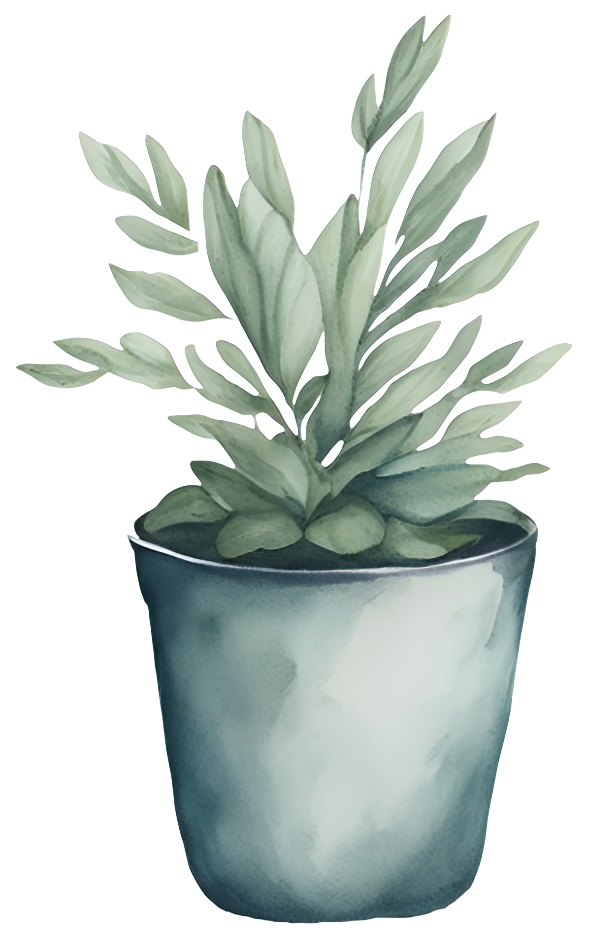 Watercolor House plant. 24679189 PNG