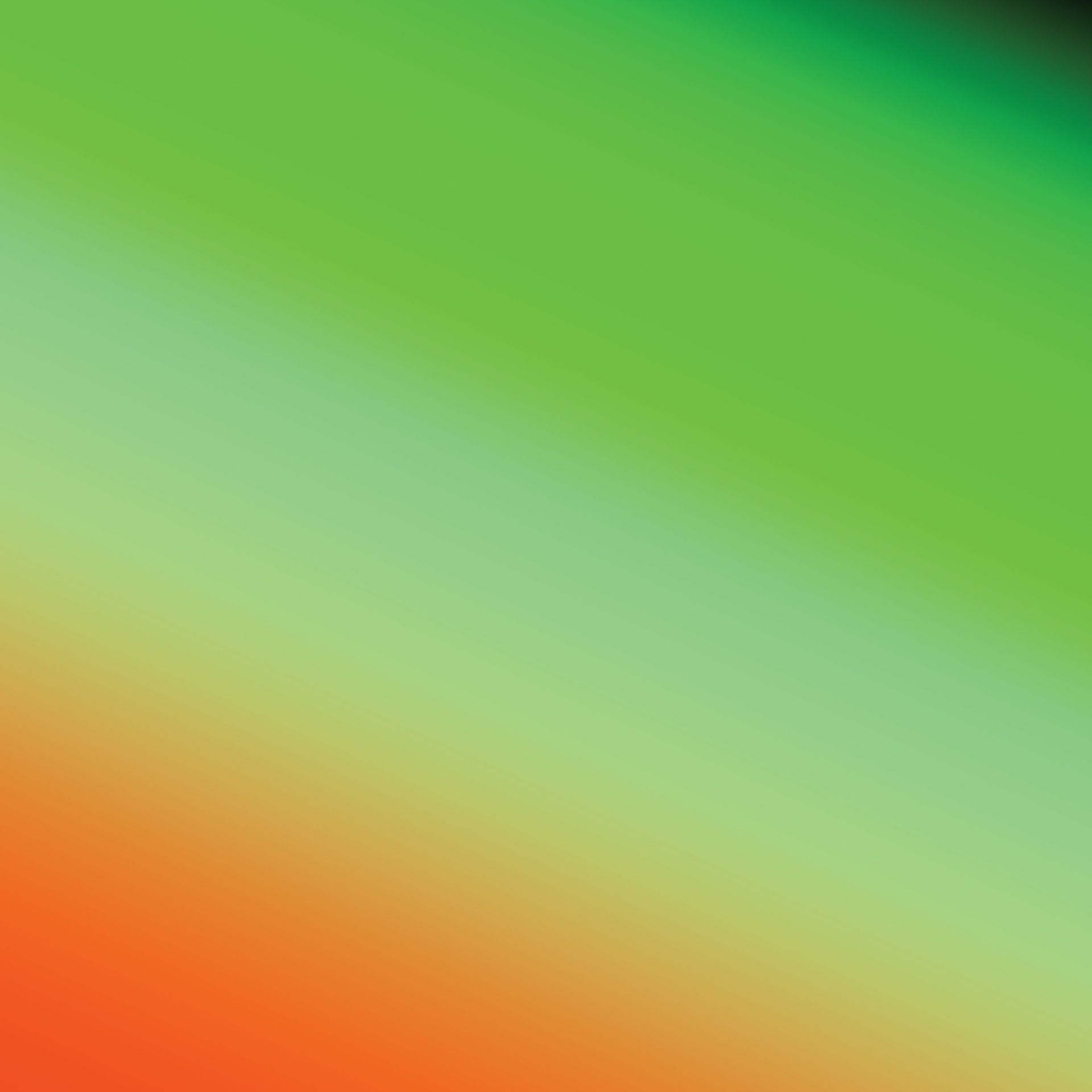 Colorful Template Banner With Gradient Color Design With Liquid Shape