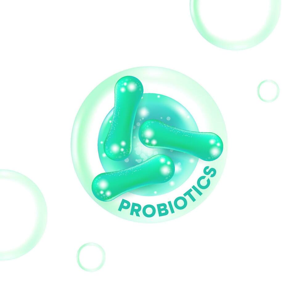 Probiotic Foods Good Bacteria Vector Illustration 24684828 Vector Art
