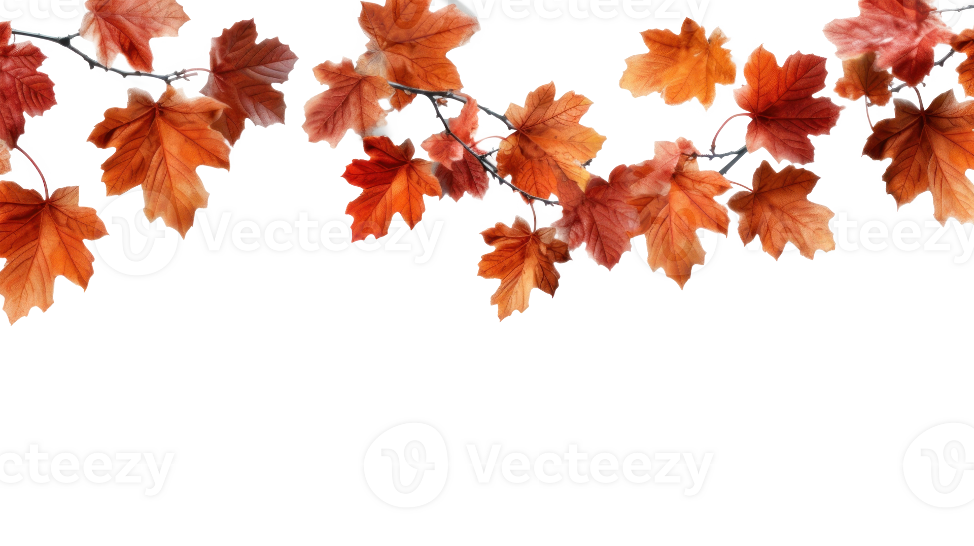 Autumn Leaves Border Isolated Illustration 24689748 Png