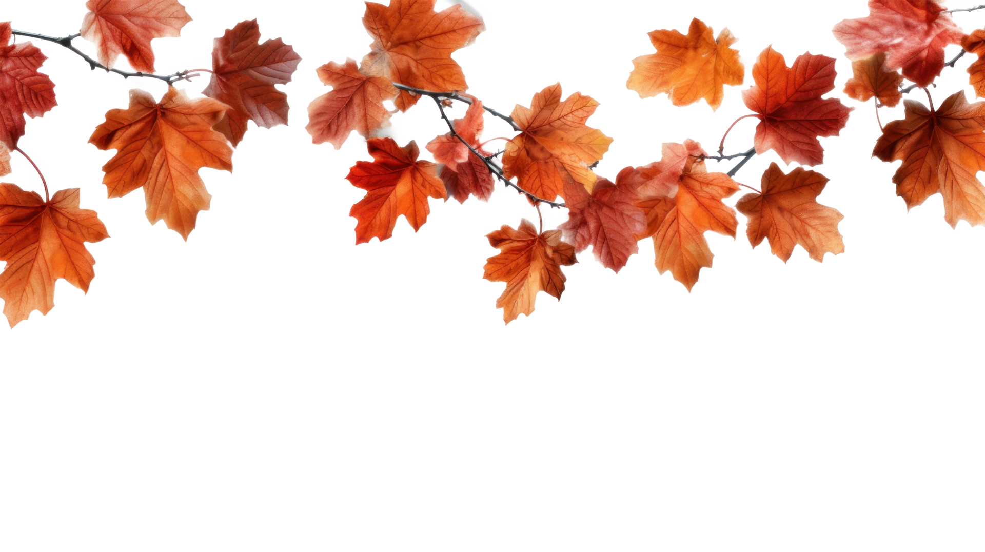 Autumn leaves border isolated. Illustration 24689748 PNG