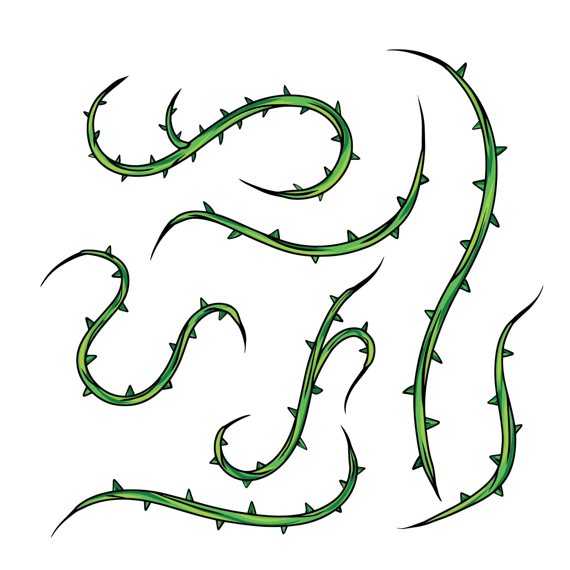 Rose Vines With Thorns Drawings