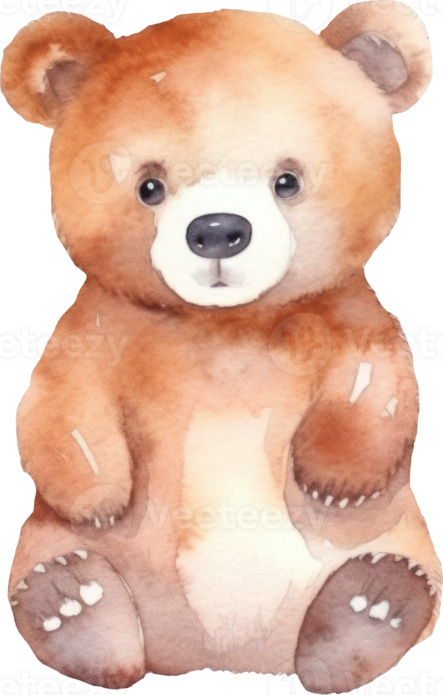 Cute Brown Bear Watercolor Illustration. 24700373 PNG